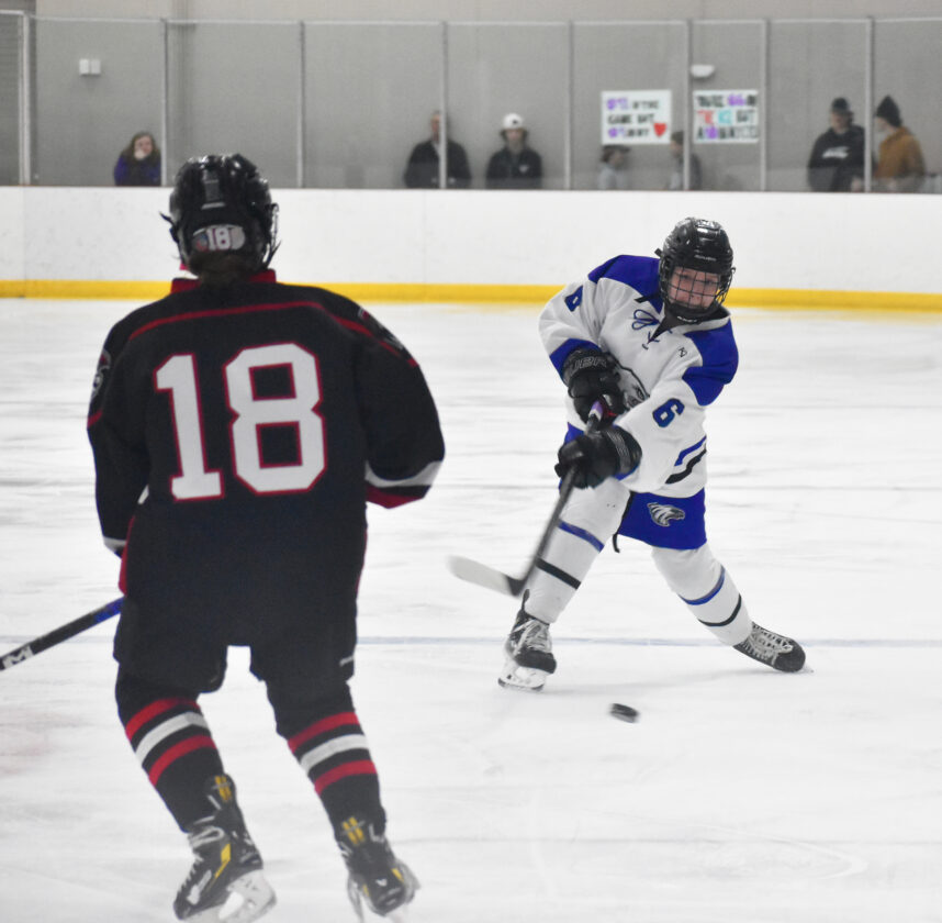 New Ulm wins 6th straight to open 3A playoffs | News, Sports, Jobs ...